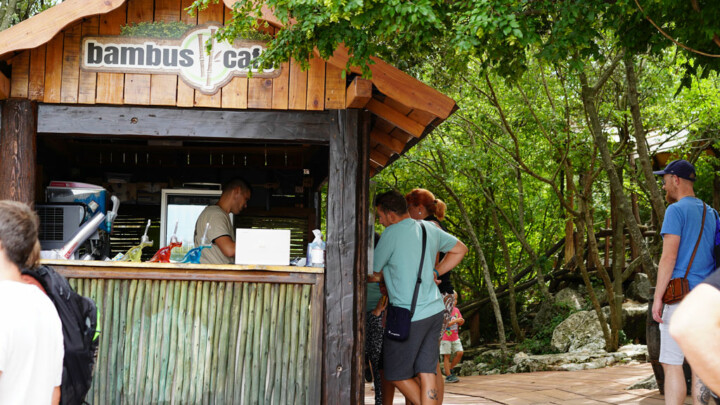 Bambus Cafe: 5 Star Delights & Cozy Vibes Await!