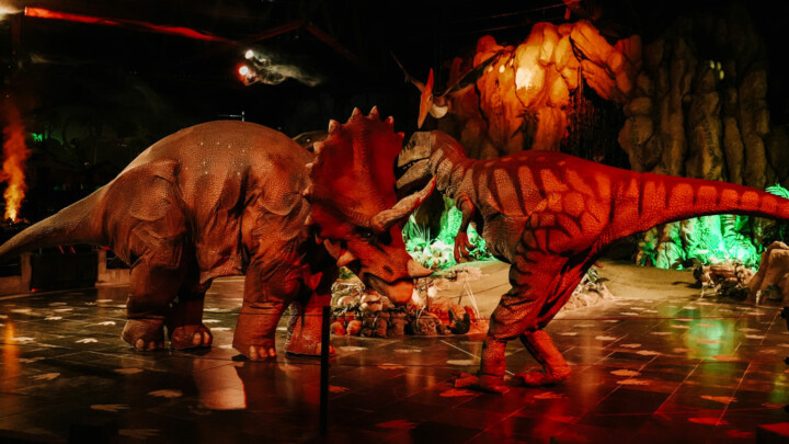 Dinosaur Show: 30-Min of Mesmerizing Drama at Dinopark!