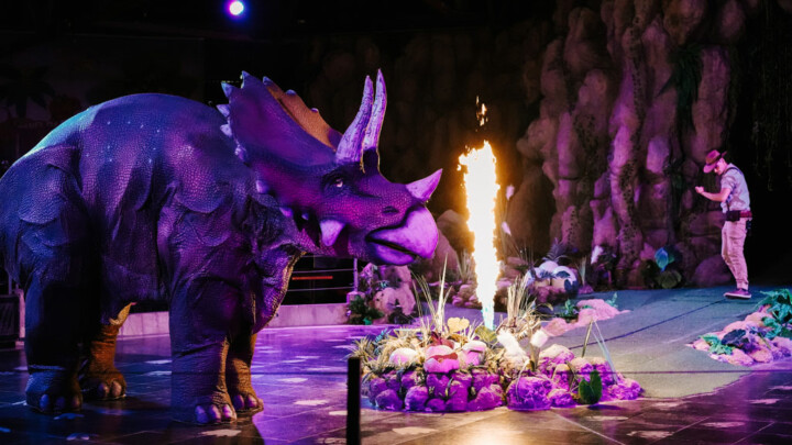 Dinosaur Show: 30-Min of Mesmerizing Drama at Dinopark!