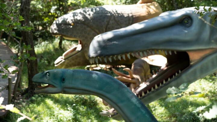 Otkrij 100 veličanstvenih dinosaura u Dinoparku Funtana!