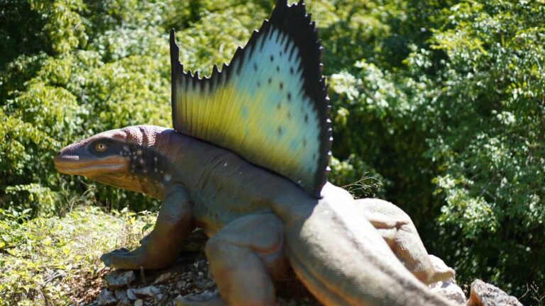 Otkrij 100 veličanstvenih dinosaura u Dinoparku Funtana!
