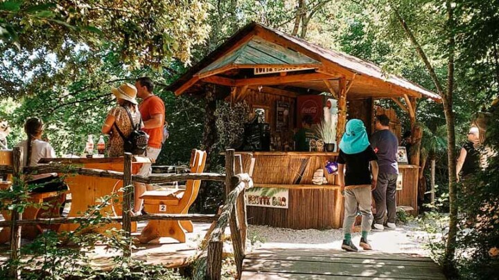Tutti Frutti Cafe: 5 Serene Sips in Nature's Lap!